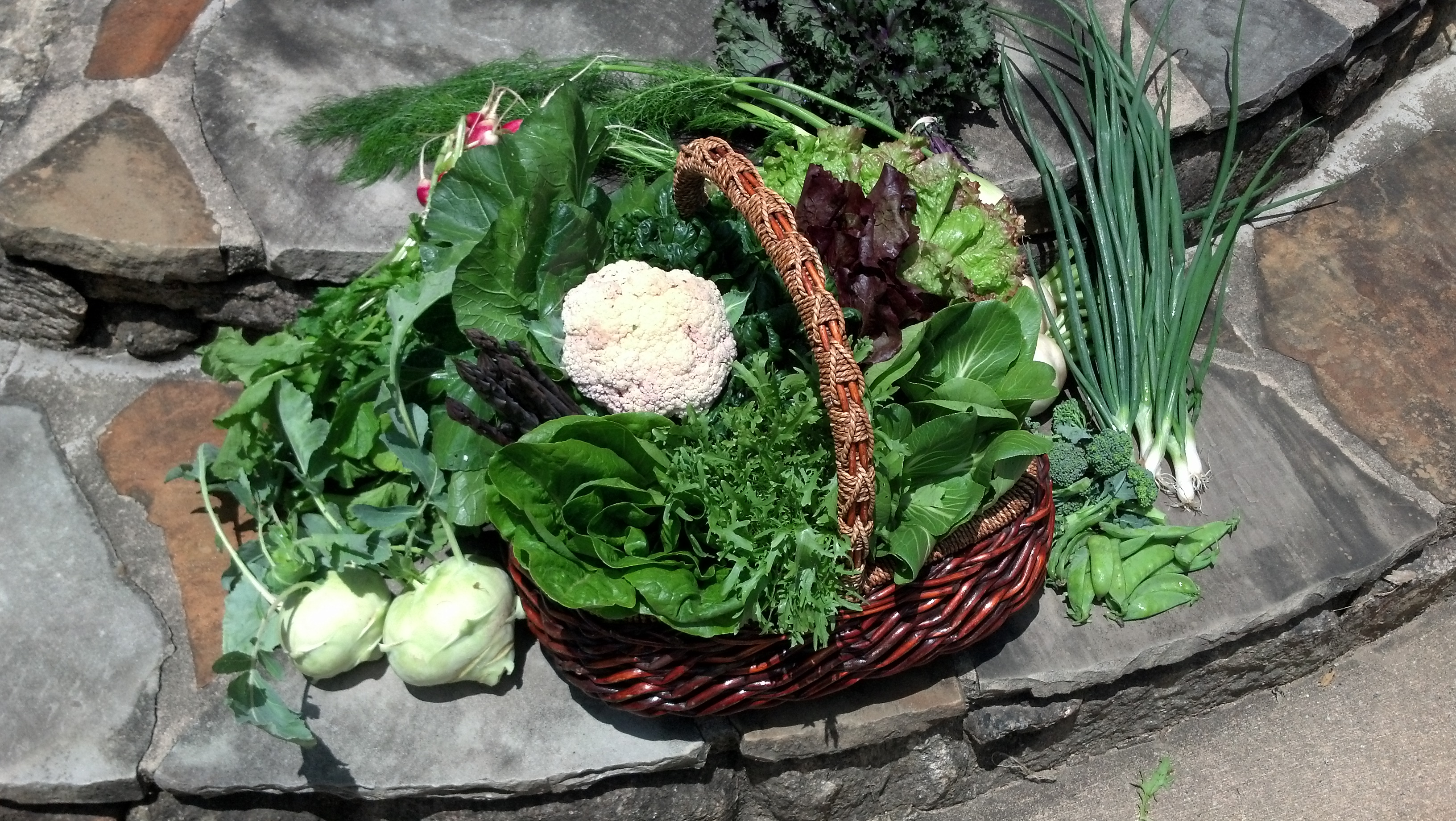 Recipes: Veggies A – Z – Cane Creek Asparagus & Company CSA